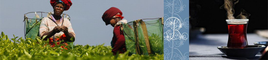 Rare African Teas – Serengeti Teas